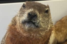 50 road trips and weekend getaways from Ottawa you must try this summer!