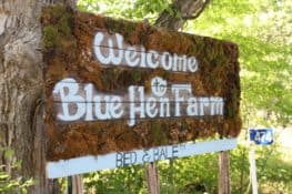 Ottawa Valley: Five great reasons for a fall road trip! - Ottawa Road Trips