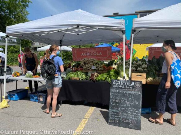 45+ farmers’ markets in Eastern Ontario and West Quebec - Ottawa Road Trips